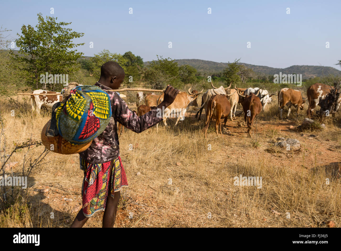 Tribal people of Angola, Africa Stock Photo - Alamy