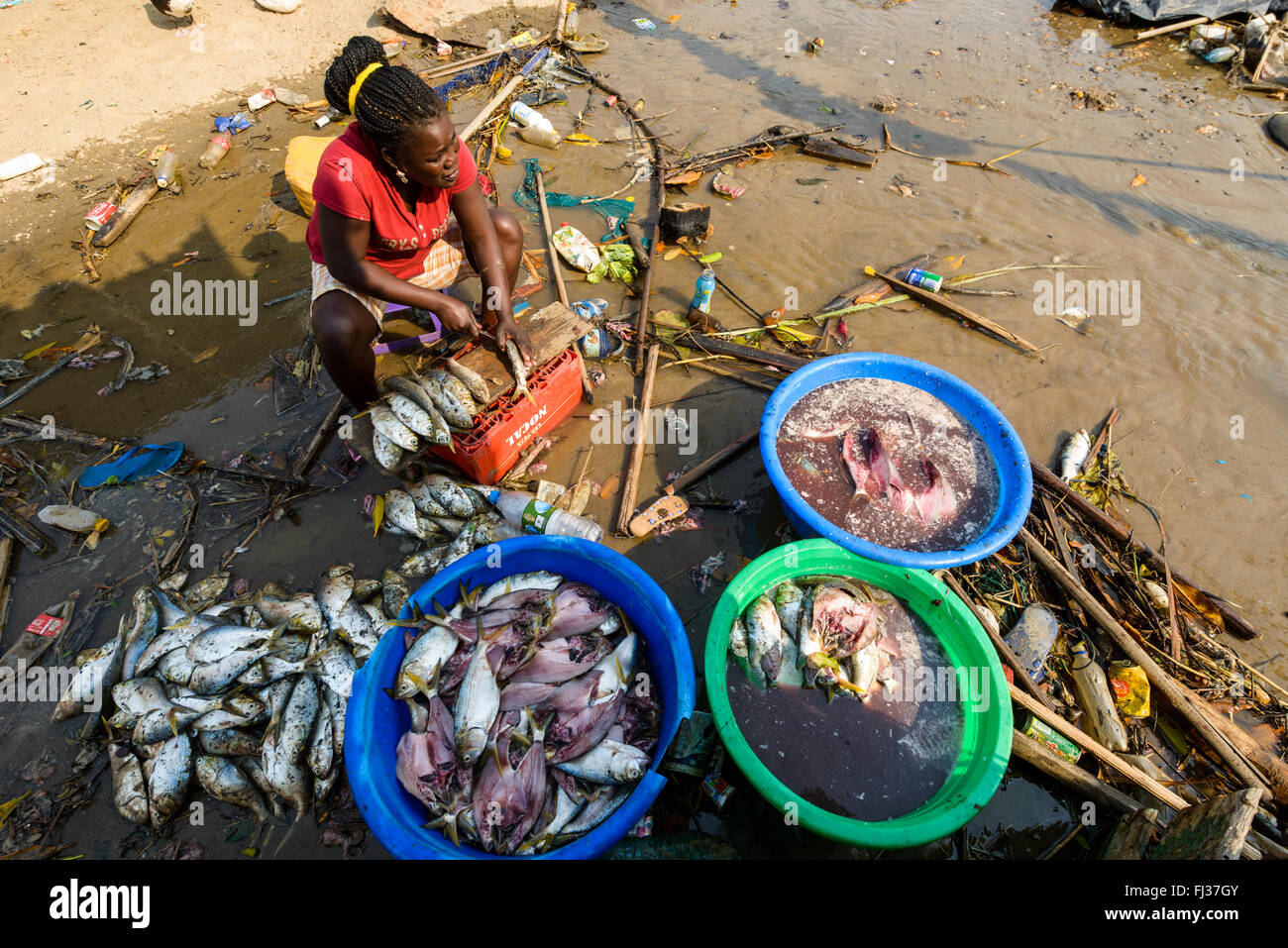 Woman preparing fish for sale, Angola, Africa Stock Photo - Alamy