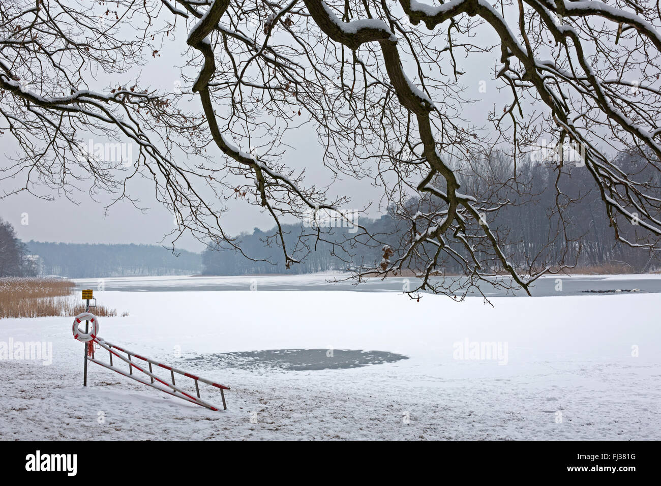 Lake Grunewald, Berlin, Germany Stock Photo - Alamy