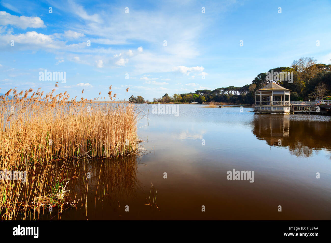 torre del lago view in tuscany Stock Photo - Alamy