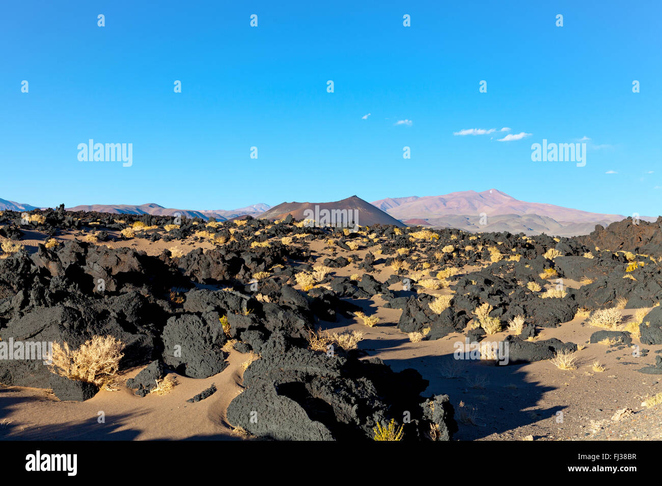 Volcano of the Puna desert, Argentina Stock Photo - Alamy