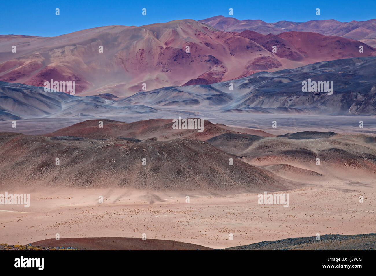 Puna desert hi-res stock photography and images - Alamy