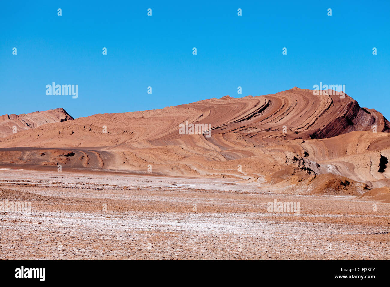 Puna desert hi-res stock photography and images - Alamy