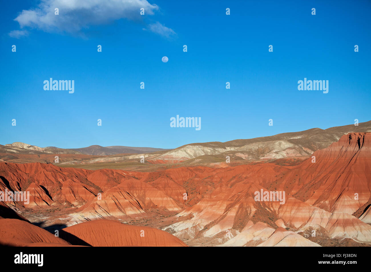 Cusi cusi hi-res stock photography and images - Alamy