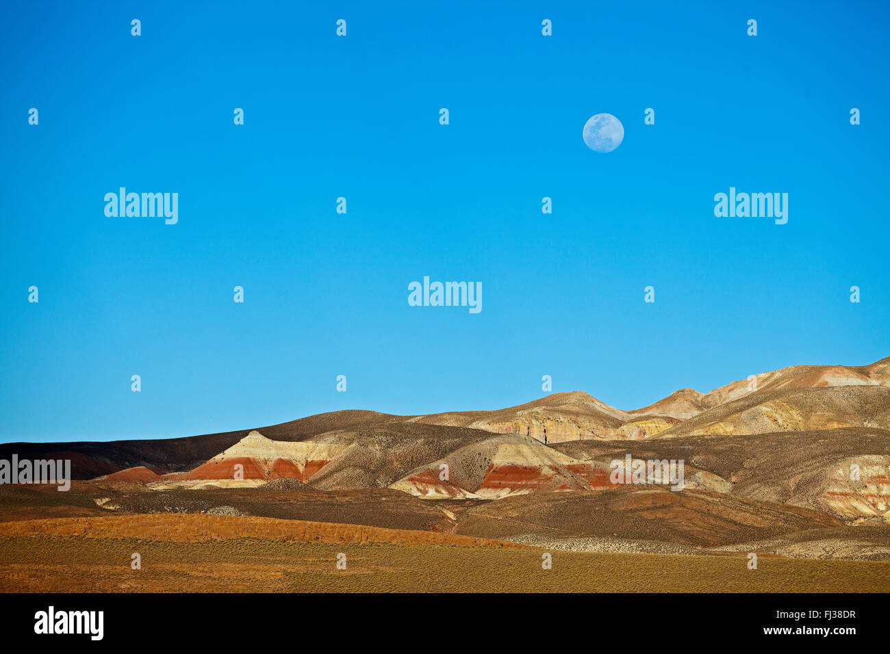 Cusi cusi hi-res stock photography and images - Alamy