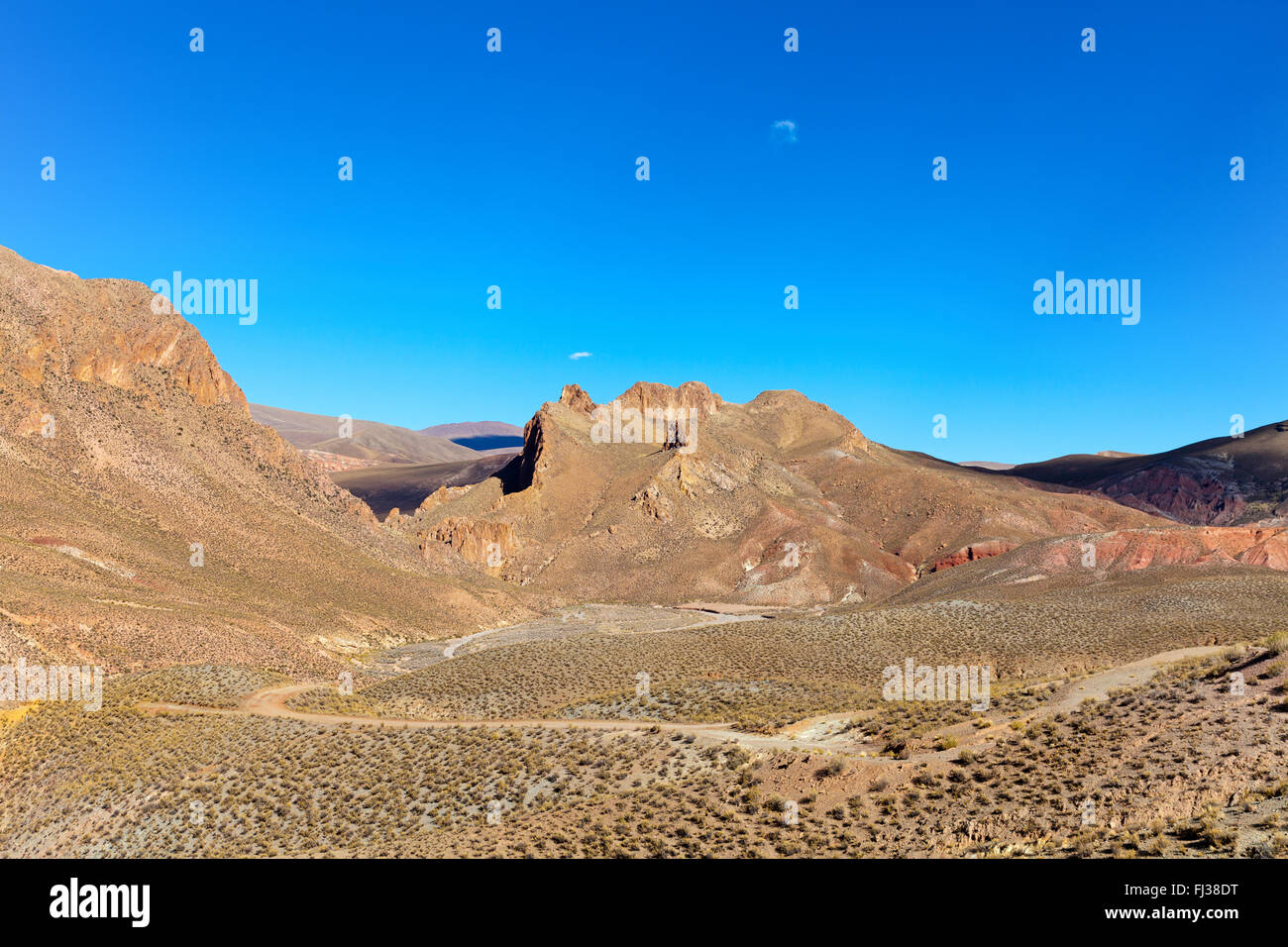 Cusi hi-res stock photography and images - Alamy
