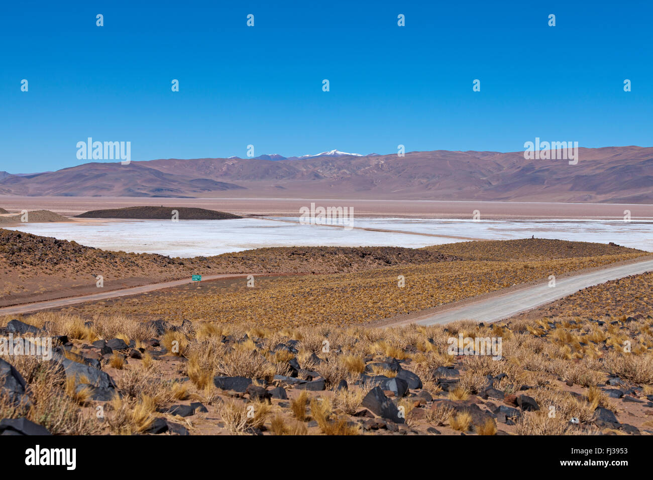 Lithium Salt Lake, Salar del Hombre Muerto, Argentina Stock Photo - Alamy