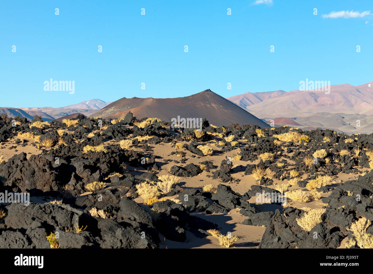 Volcano of the Puna desert, Argentina Stock Photo - Alamy