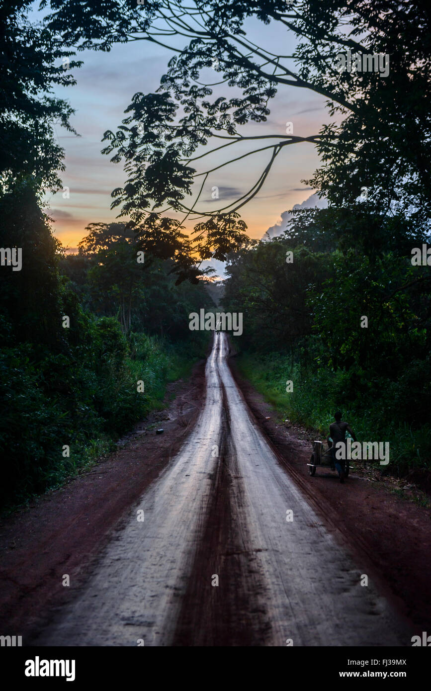 Equatorial rainforest, Cameroon, Africa Stock Photo - Alamy