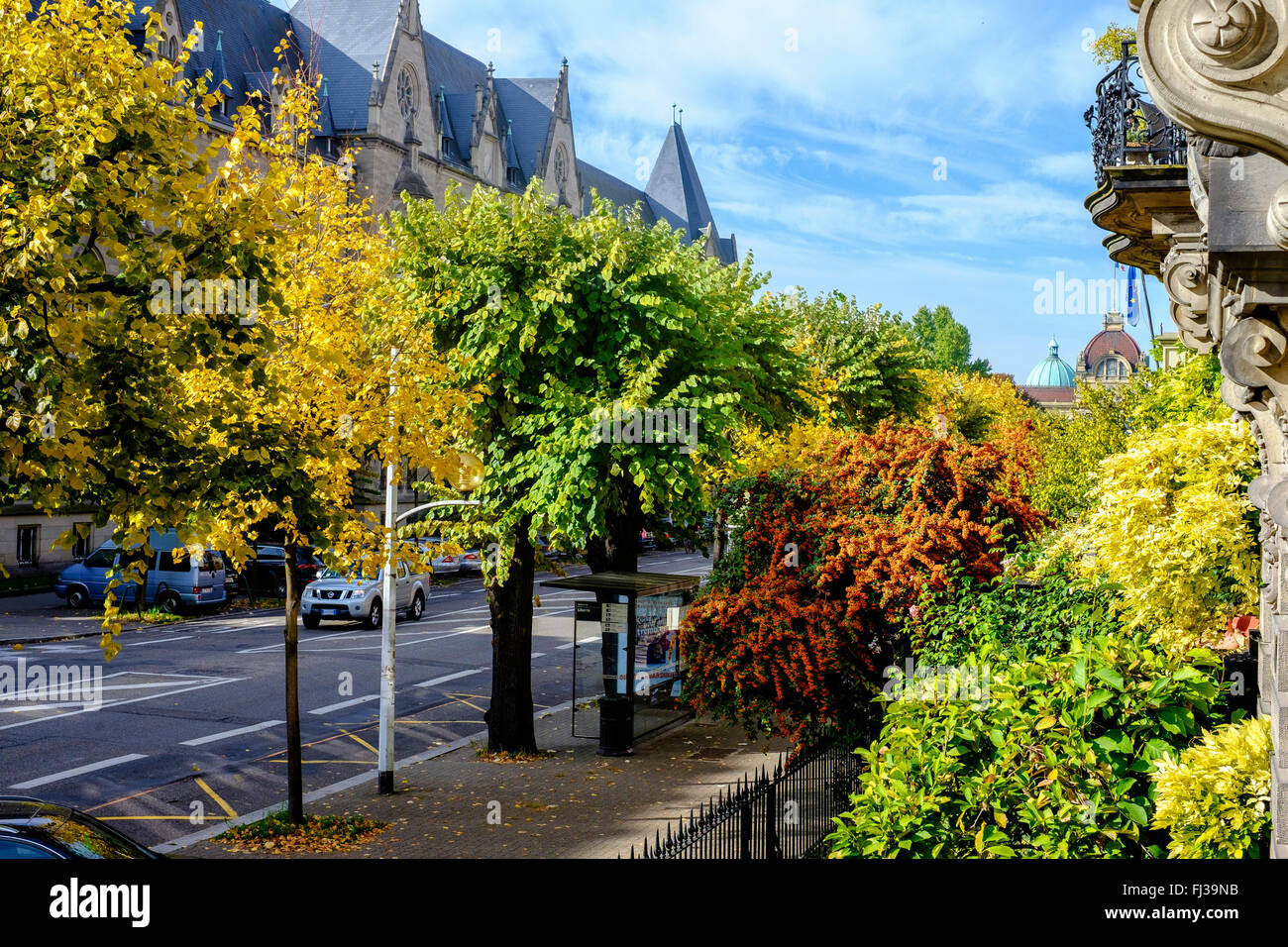 Trees with autumn foliage, Strasbourg, Alsace, France Stock Photo - Alamy