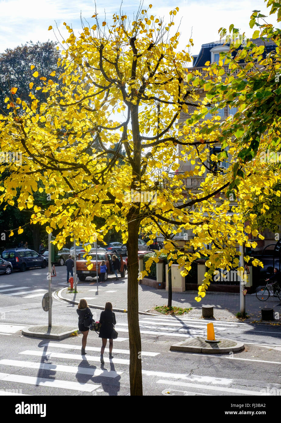 2 pedestrian walkways hi-res stock photography and images - Alamy