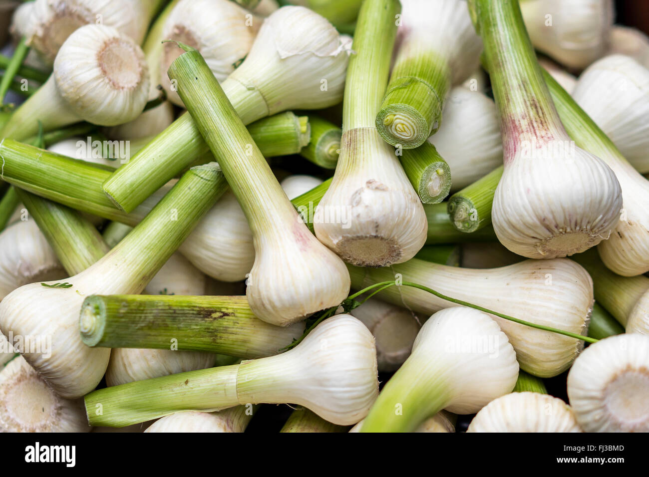 Close up of a basket of fresh garlic heads for sale on a market stall ...