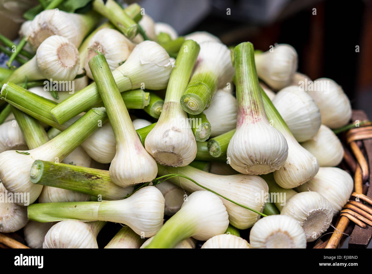 Fresh heads hi-res stock photography and images - Alamy