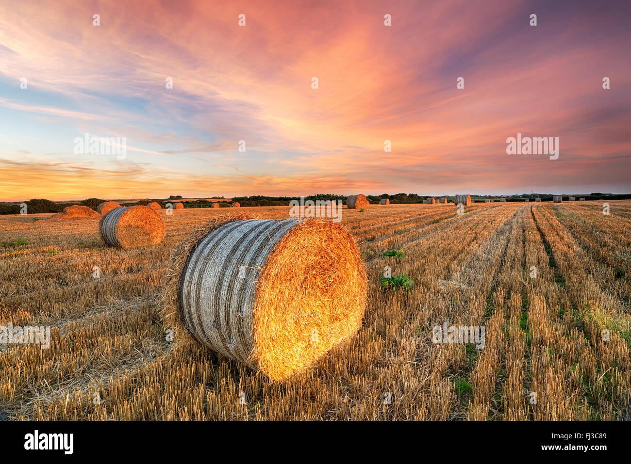 Beautiful sunset over a field of hay bales near Newquay in Cornwall ...