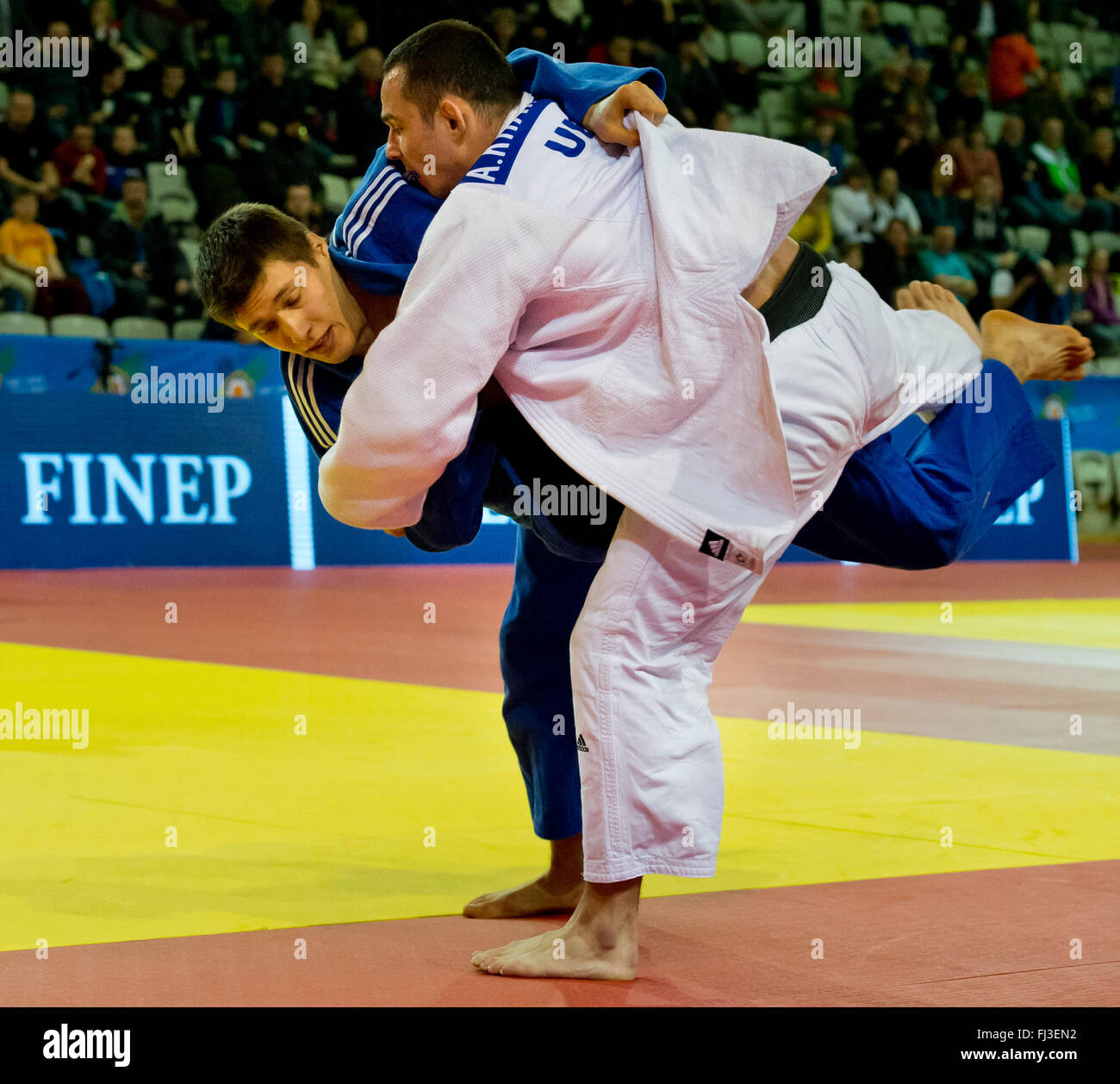 Vit 81 hi-res stock photography and images - Alamy