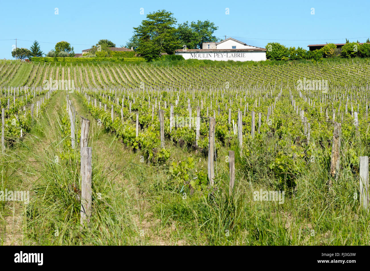Château Moulin Pey-Labrie vinyard, Canon-Fronsac region, Bordeaux ...