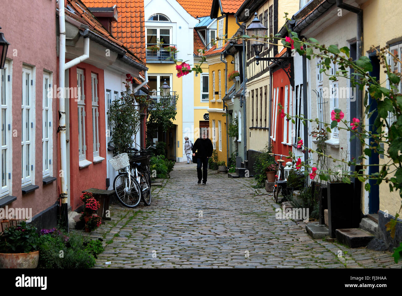 Narrow cobbled street, Aalborg Old Town, North Jutland, Denmark ...