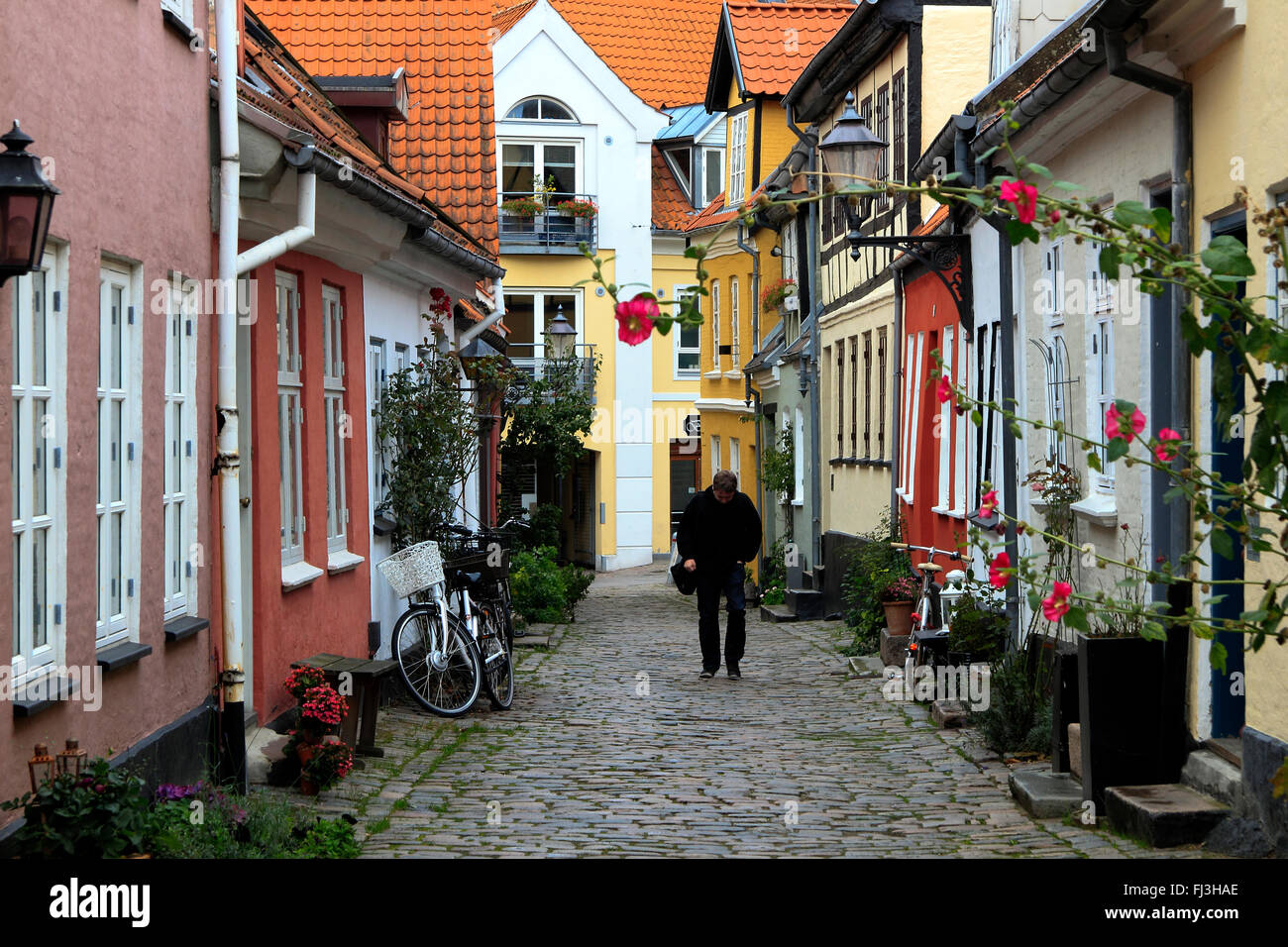 Narrow cobbled street, Aalborg Old Town, North Jutland, Denmark ...