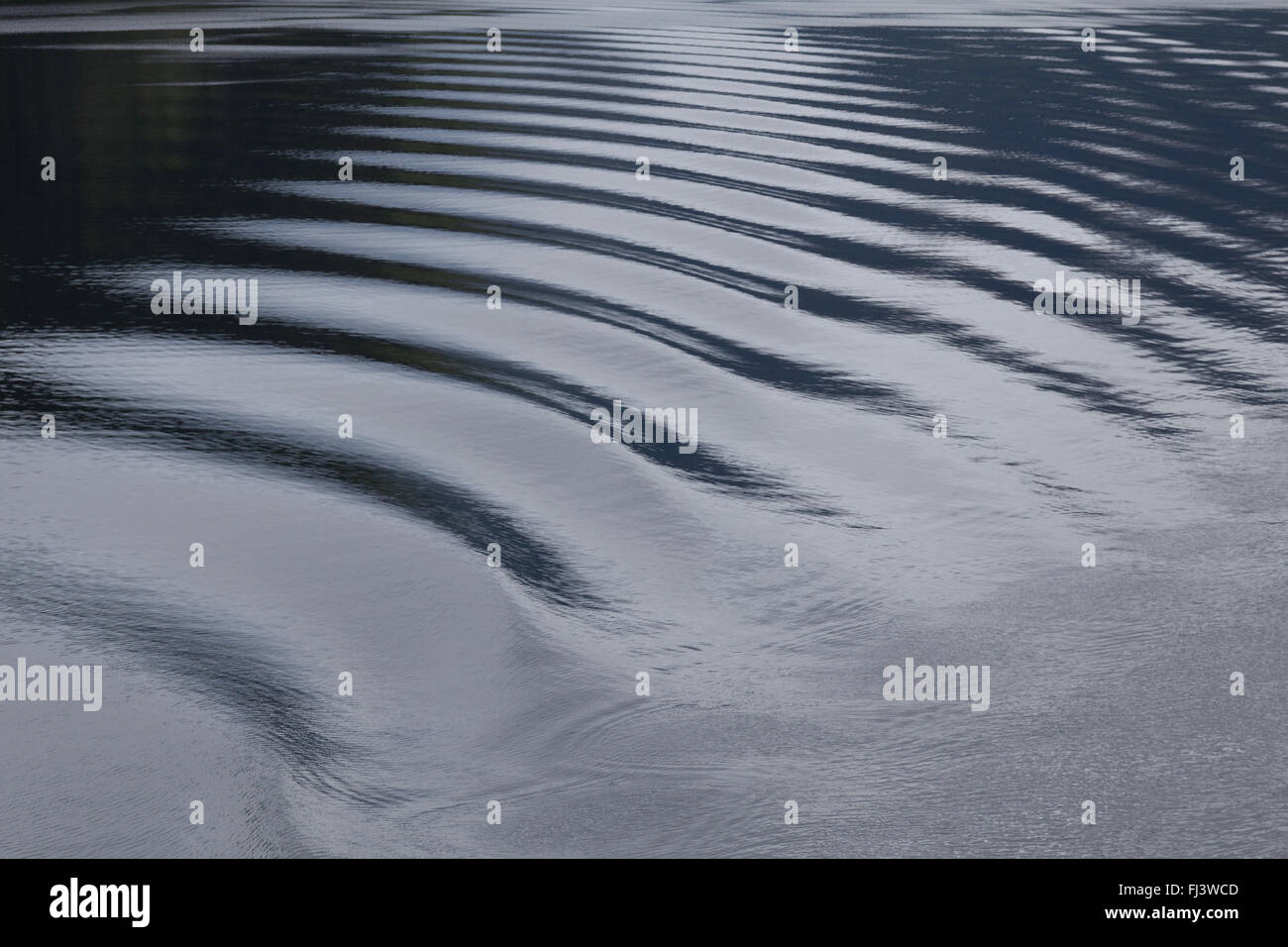 Water ripple in a lake Stock Photo - Alamy
