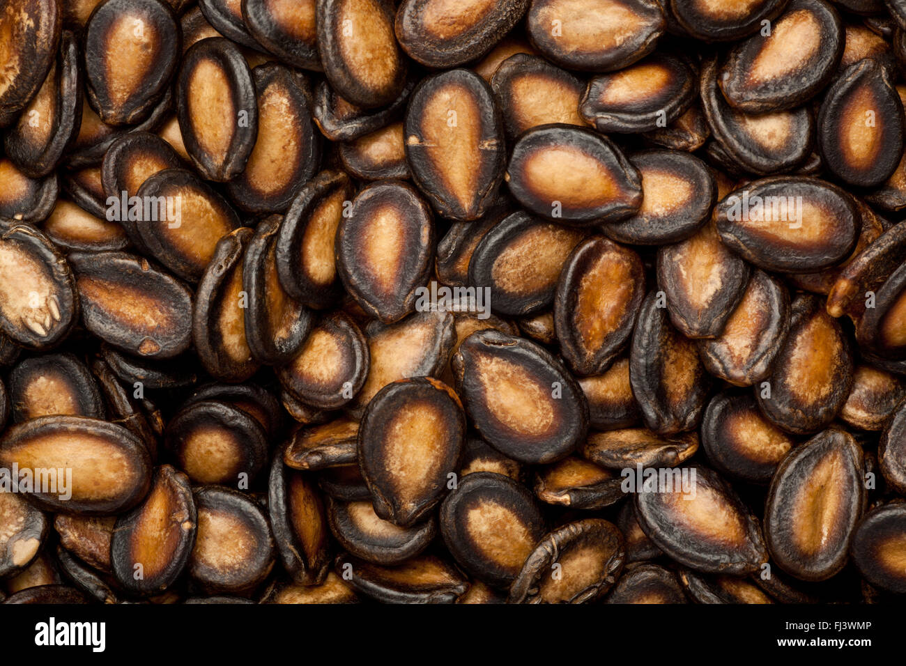 Melon seed hi-res stock photography and images - Alamy