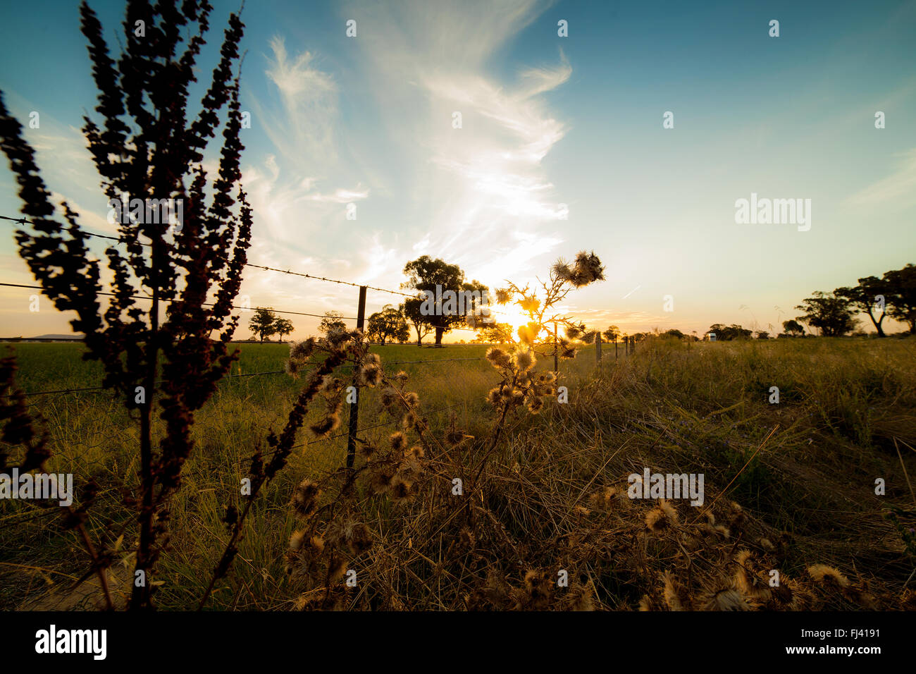 Sunset over the Australian Outback Stock Photo - Alamy