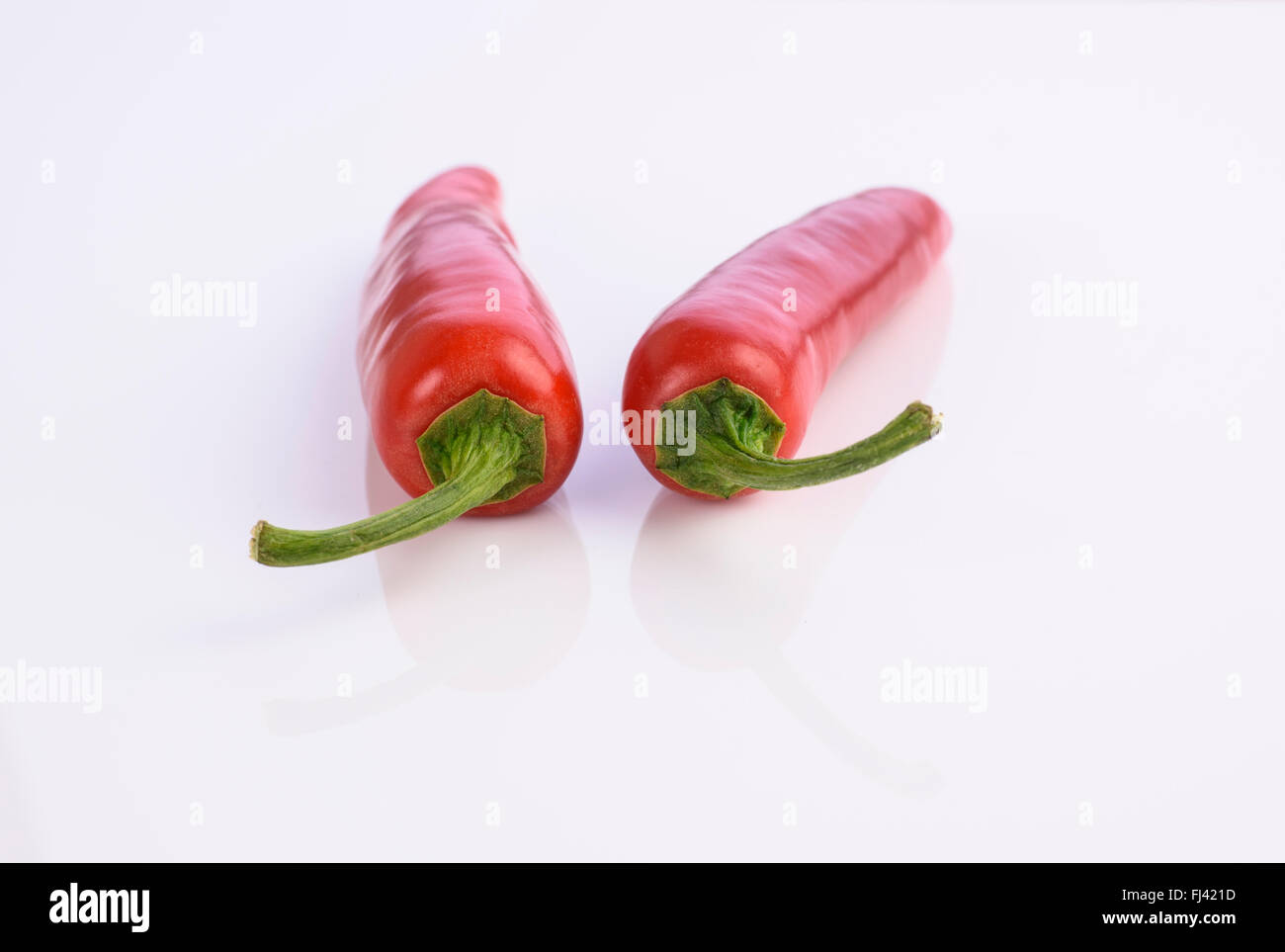 Two fresh whole Red Hot Chillies on a white background Stock Photo - Alamy