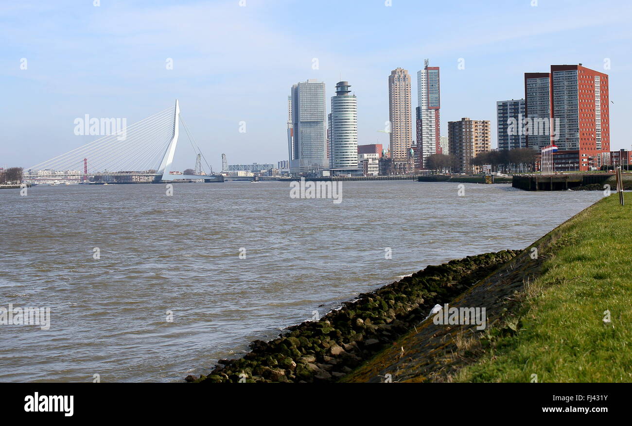 Skyline of Rotterdam, Netherlands. Nieuwe Maas river with high-rise ...