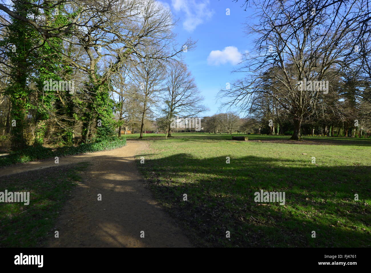 A park in the UK in winter on a cold morning Stock Photo - Alamy
