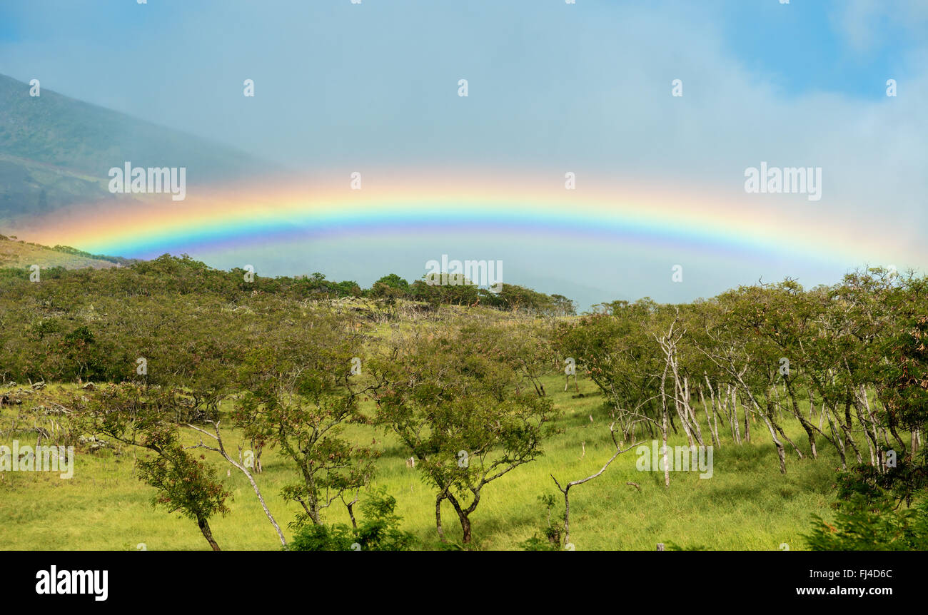 rainbow maui hawaii Stock Photo - Alamy