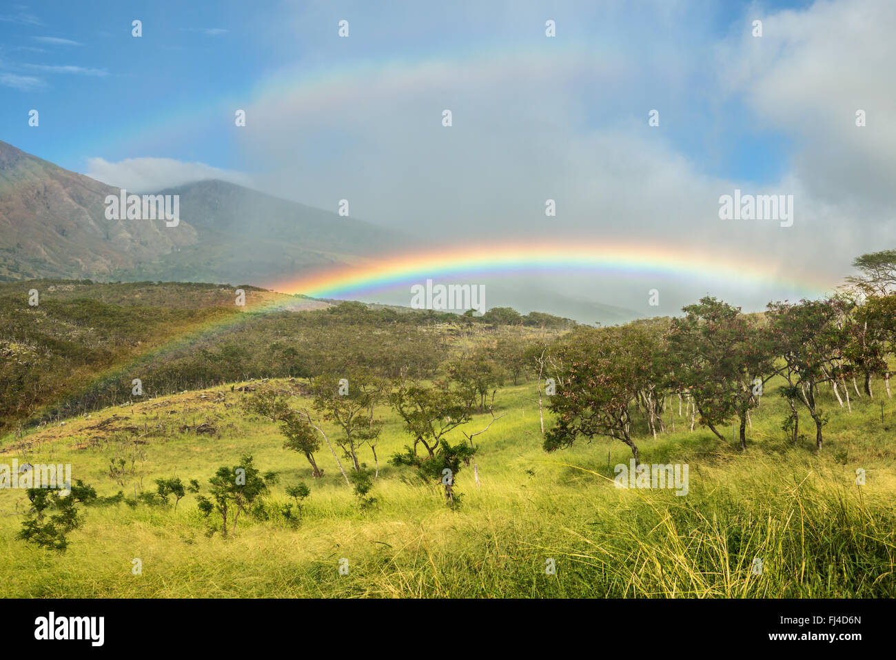 rainbow maui hawaii Stock Photo - Alamy