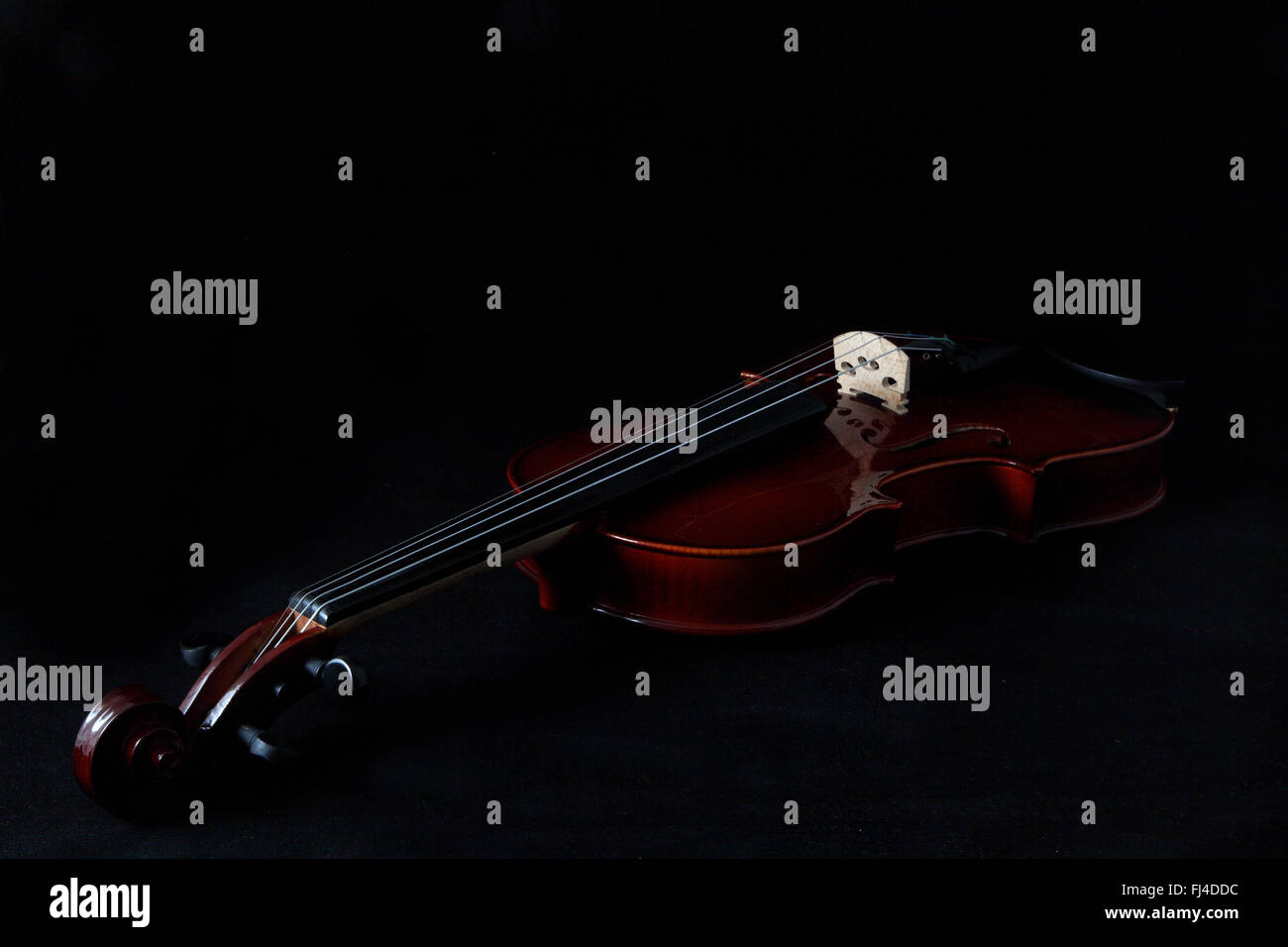 violin on a black background Stock Photo - Alamy