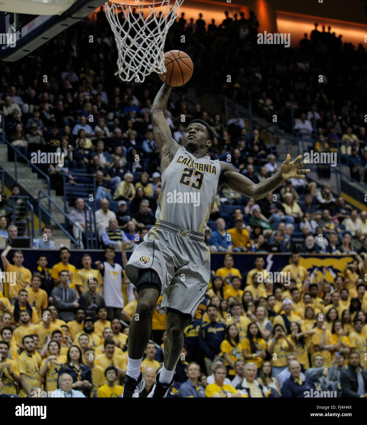 Jabari bird hi-res stock photography and images - Alamy