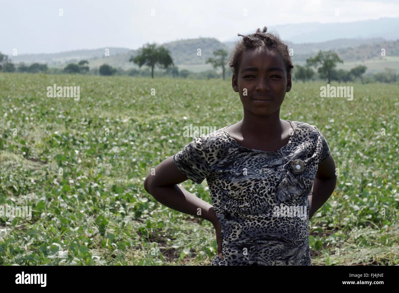 Woman amongst mung bean crop Stock Photo - Alamy