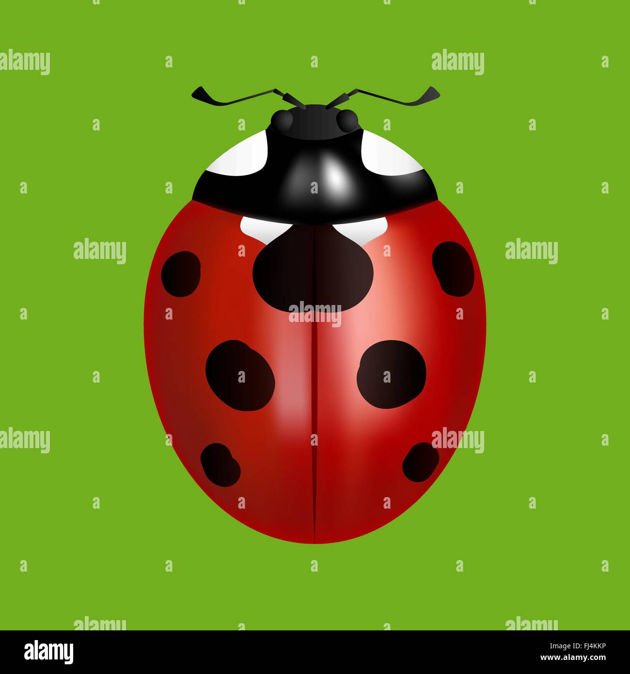 Ladybug on a green background top view Stock Vector Image & Art - Alamy