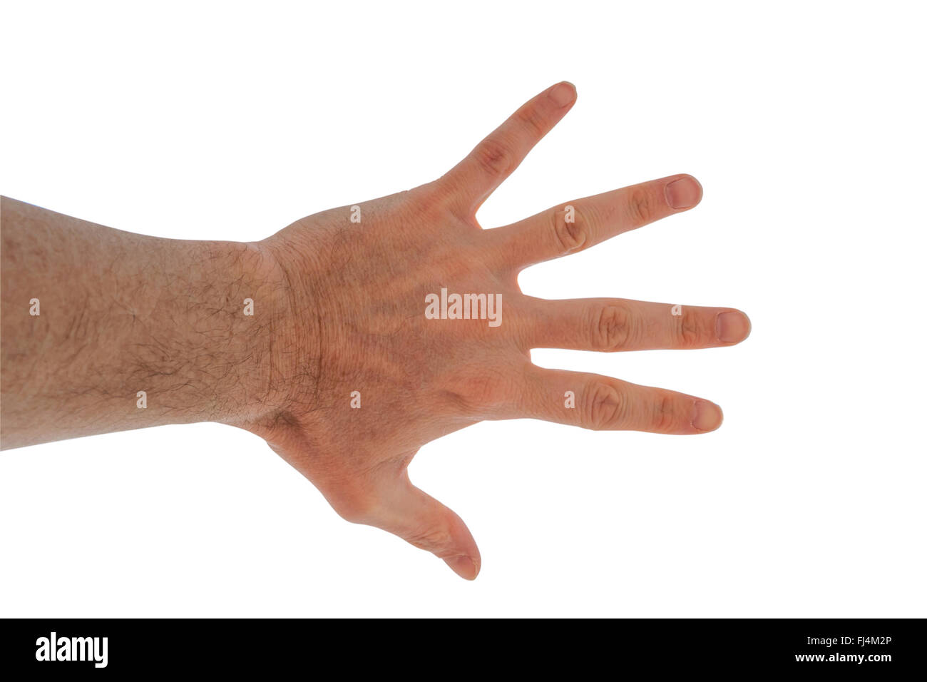 Hand isolated on white Stock Photo - Alamy