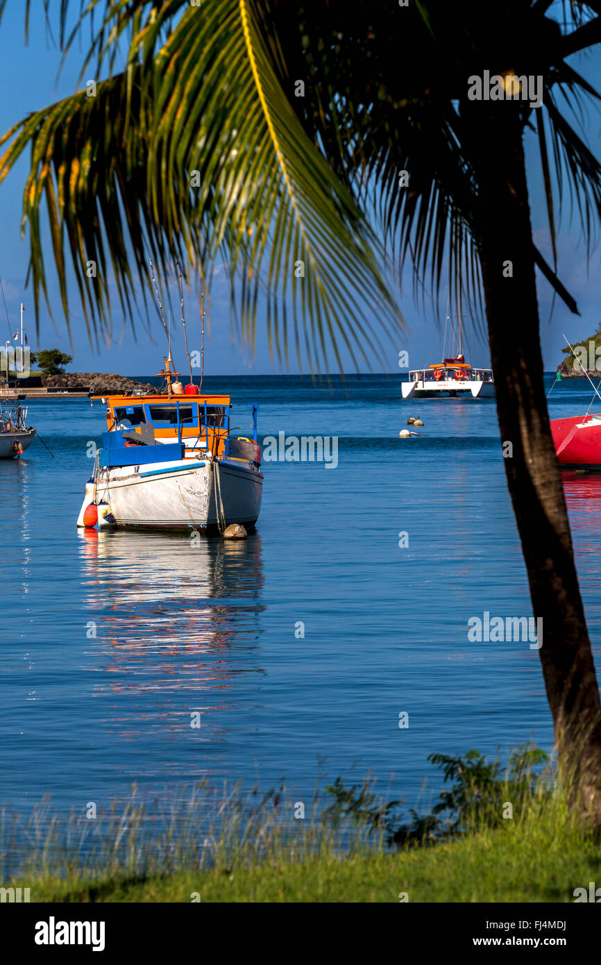 St georges marina grenada hi-res stock photography and images - Alamy