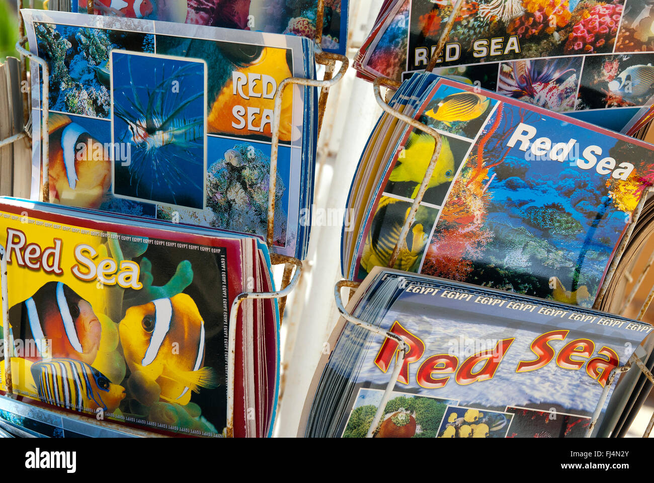 Postcards, Red Sea, Egypt Stock Photo - Alamy