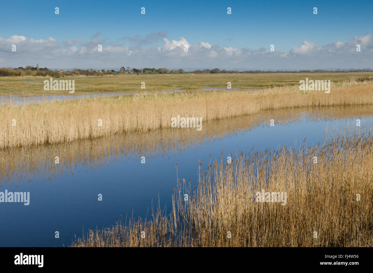 Pagham harbour nature reserve hi-res stock photography and images - Alamy