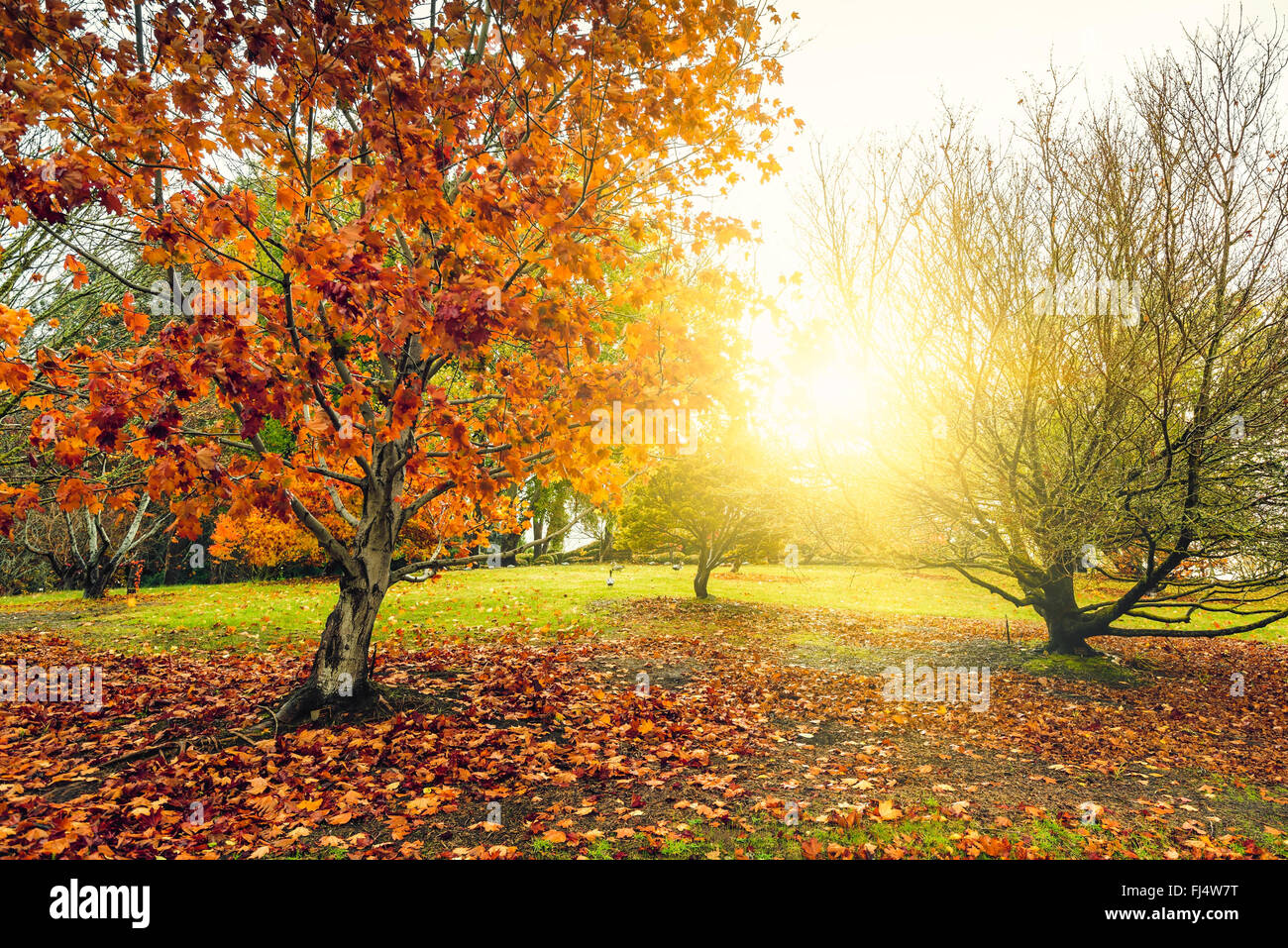 Beautiful Rain Scenes