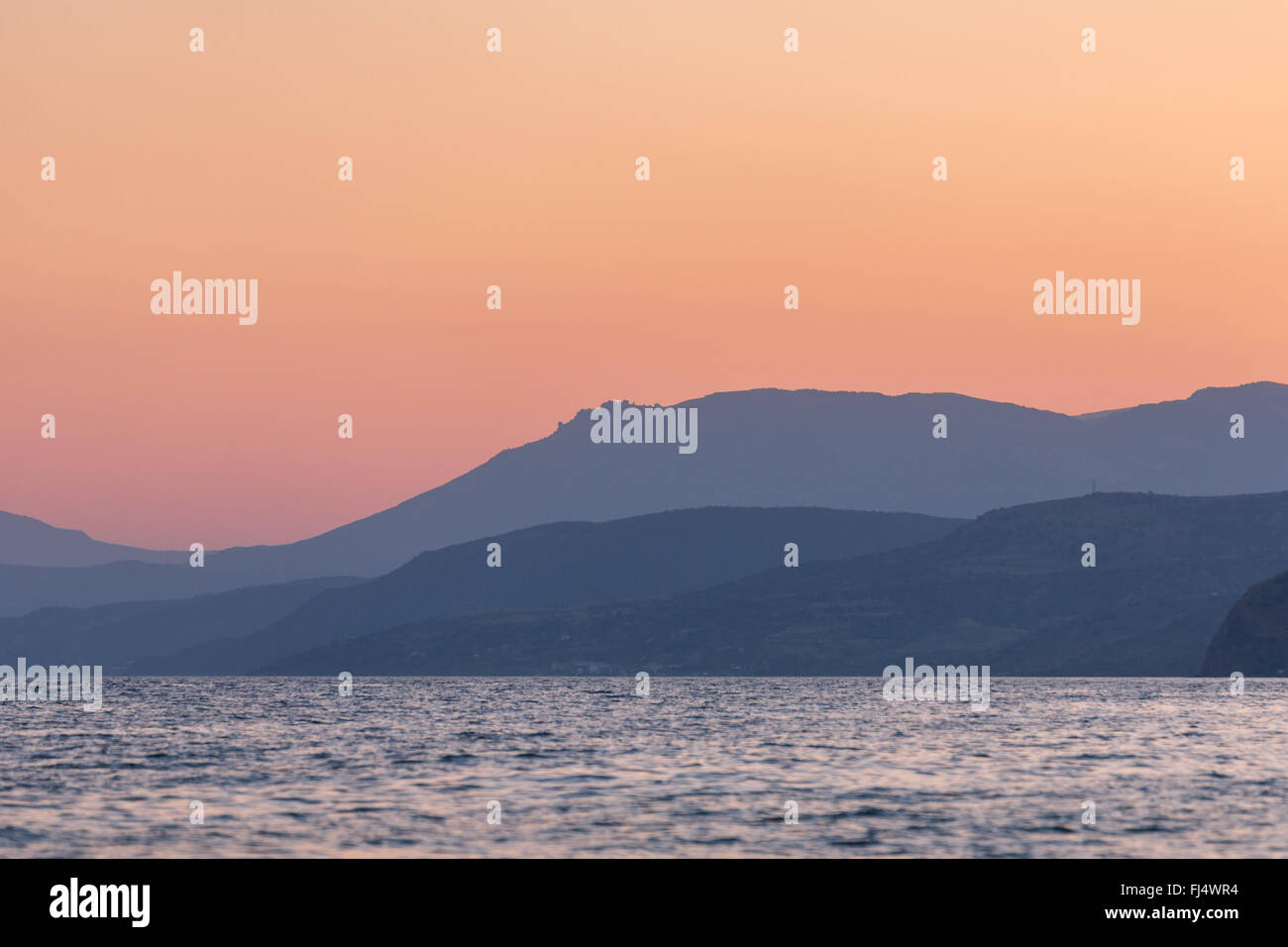 Sea peach hi-res stock photography and images - Alamy