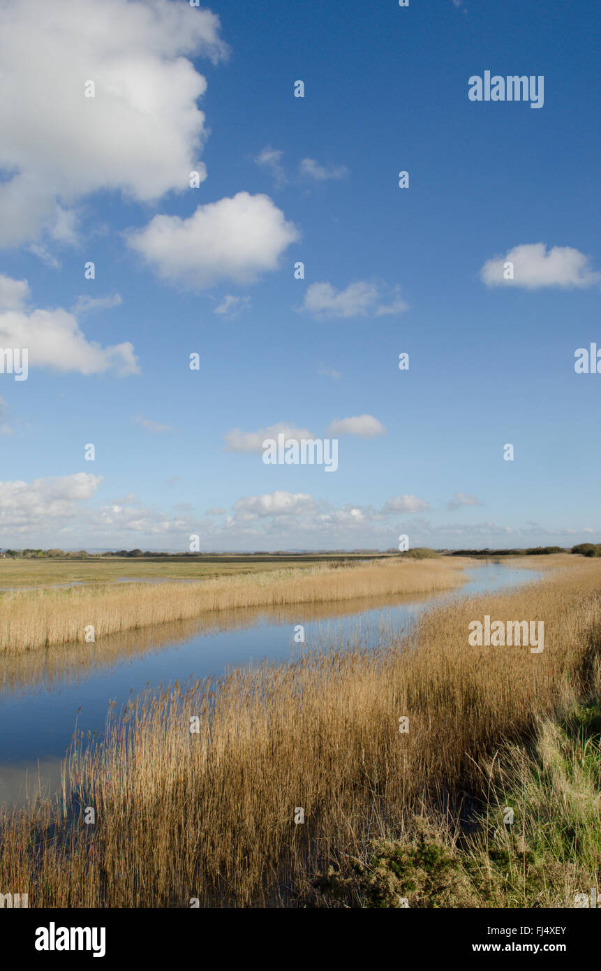 Pagham harbour nature reserve hi-res stock photography and images - Alamy