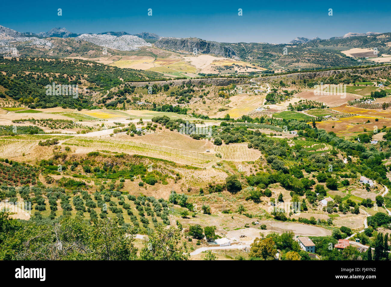 Summer Andalusian Landscape Near Ronda, Spain. Agricultural landscape ...