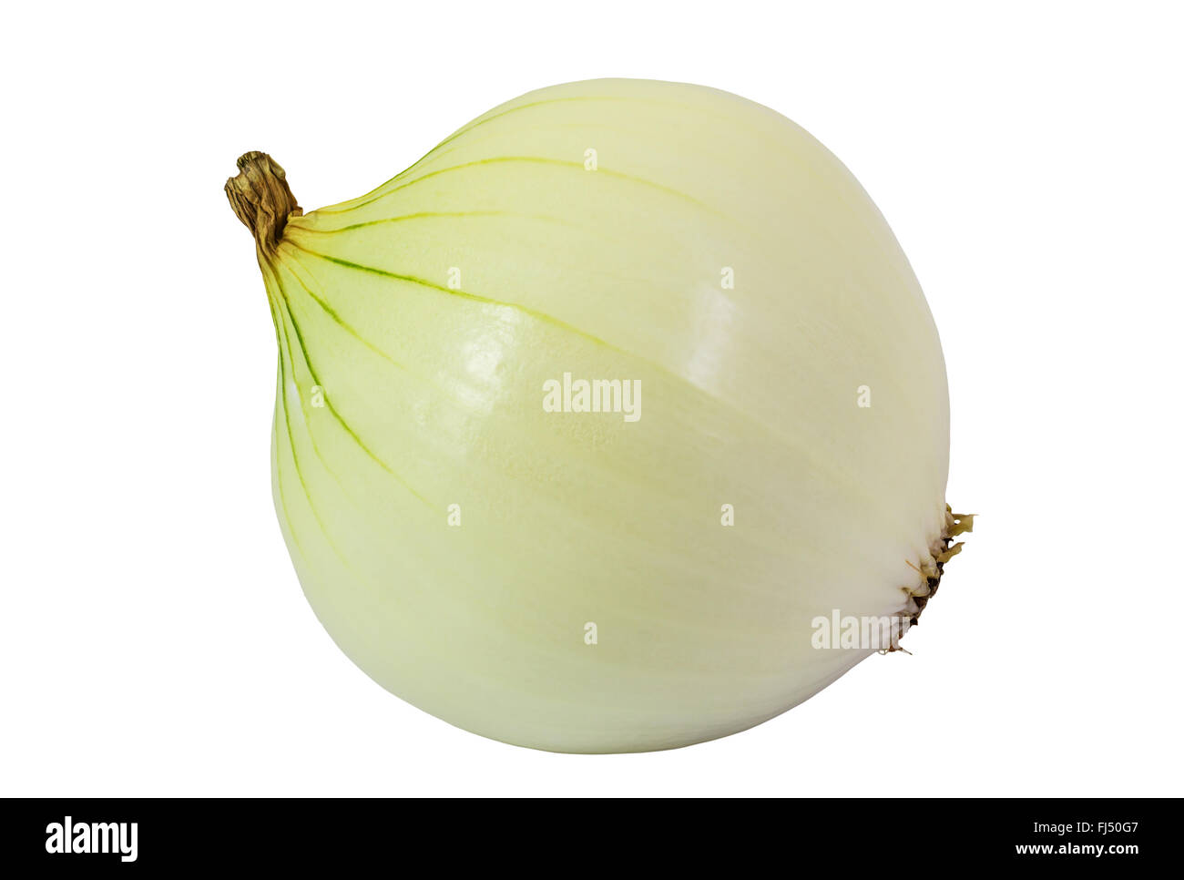 Single onion isolated on white background and clipping path Stock Photo ...