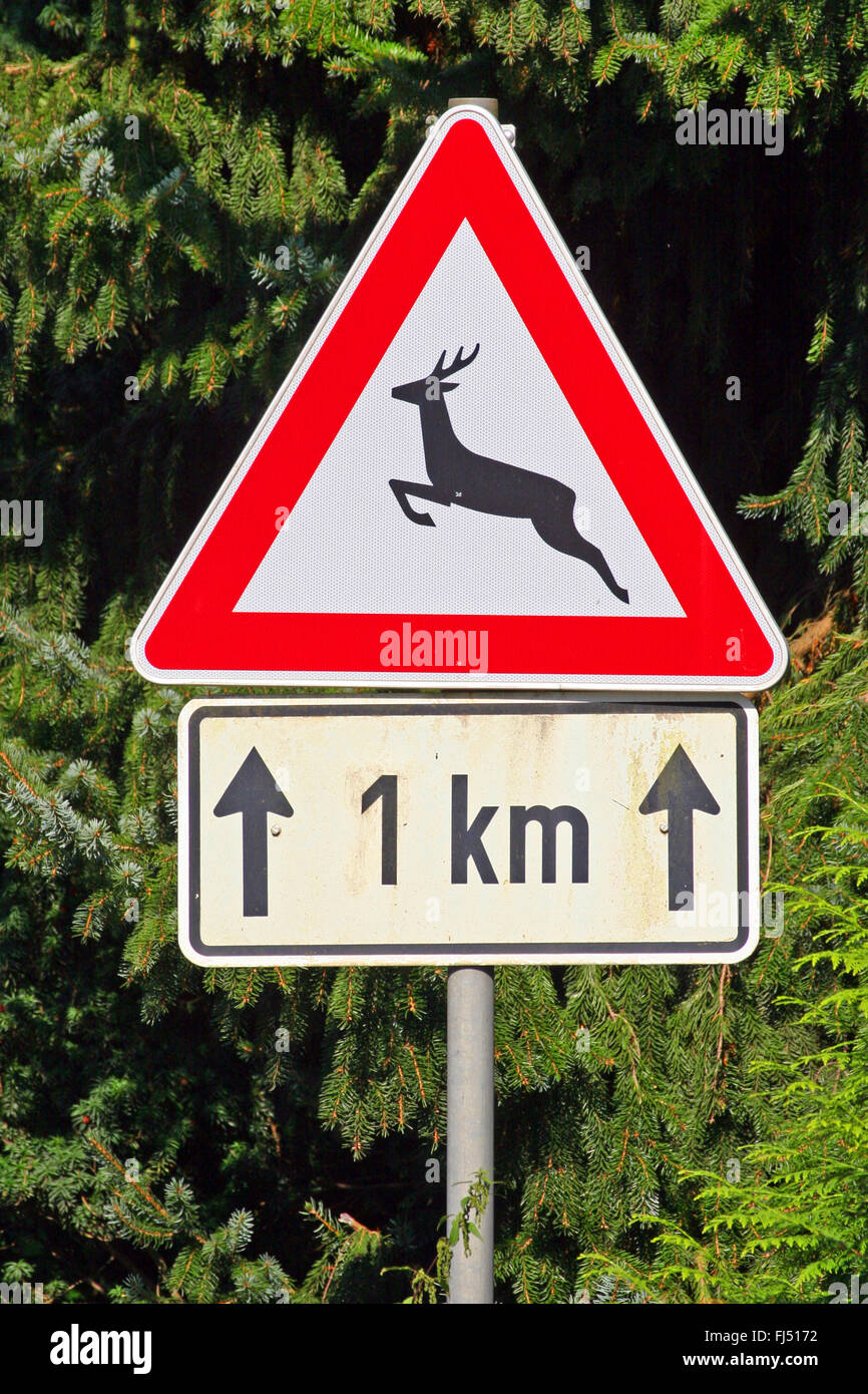 Deer street germany hi-res stock photography and images - Alamy