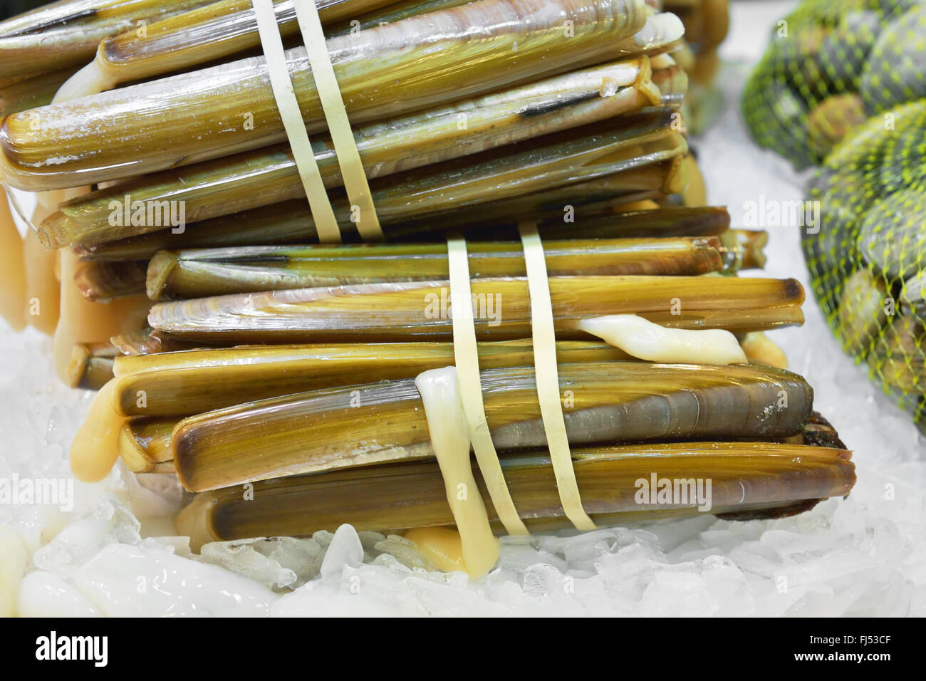 Delicious fresh mollusks sold on a fish market Stock Photo - Alamy