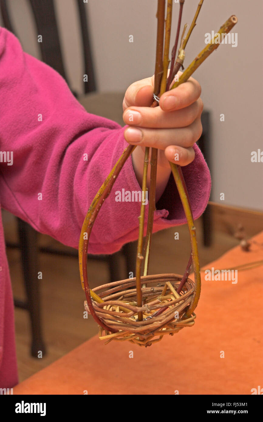 nesting material for ball nest, girl braiding willow branches, Germany ...