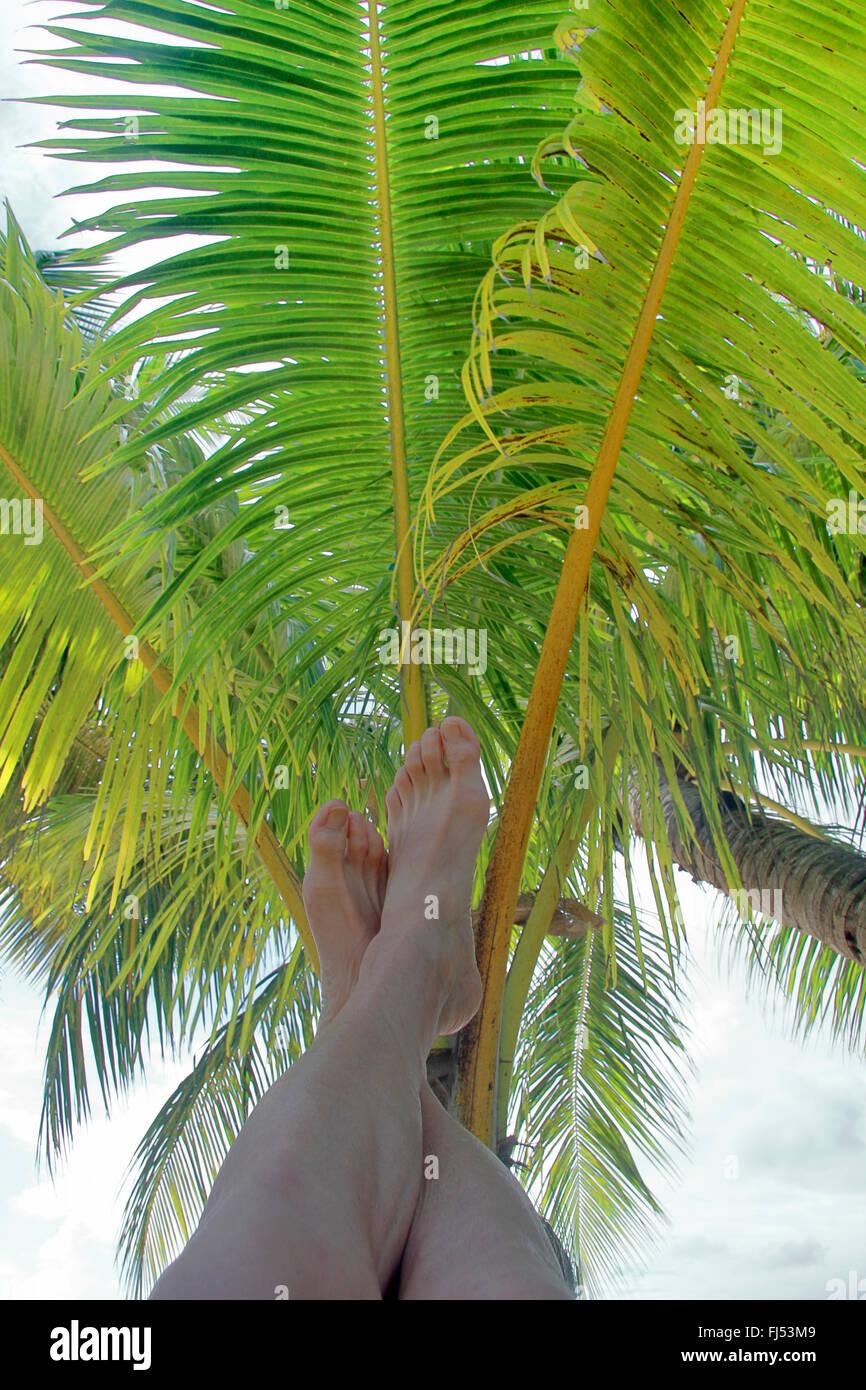 Palm Legs High Resolution Stock Photography and Images - Alamy