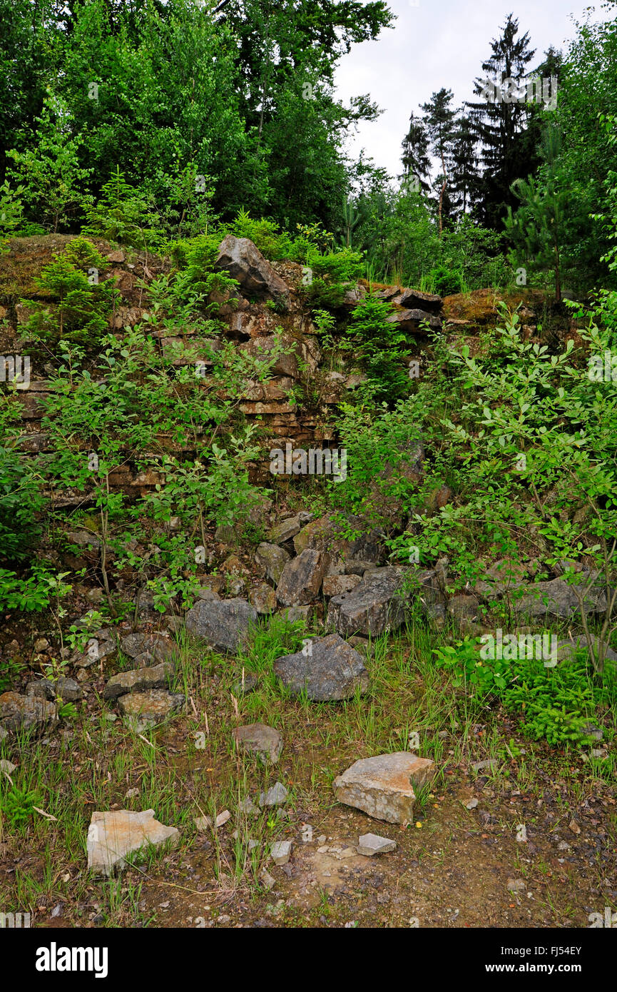 overgrown closed stone pit, Germany, Obernkirchener Sandsteinbruch ...