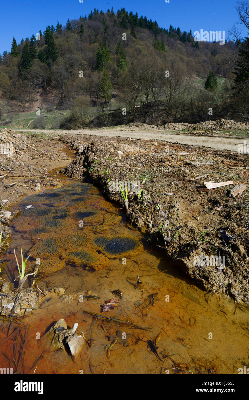 Sludge ditches hi-res stock photography and images - Alamy