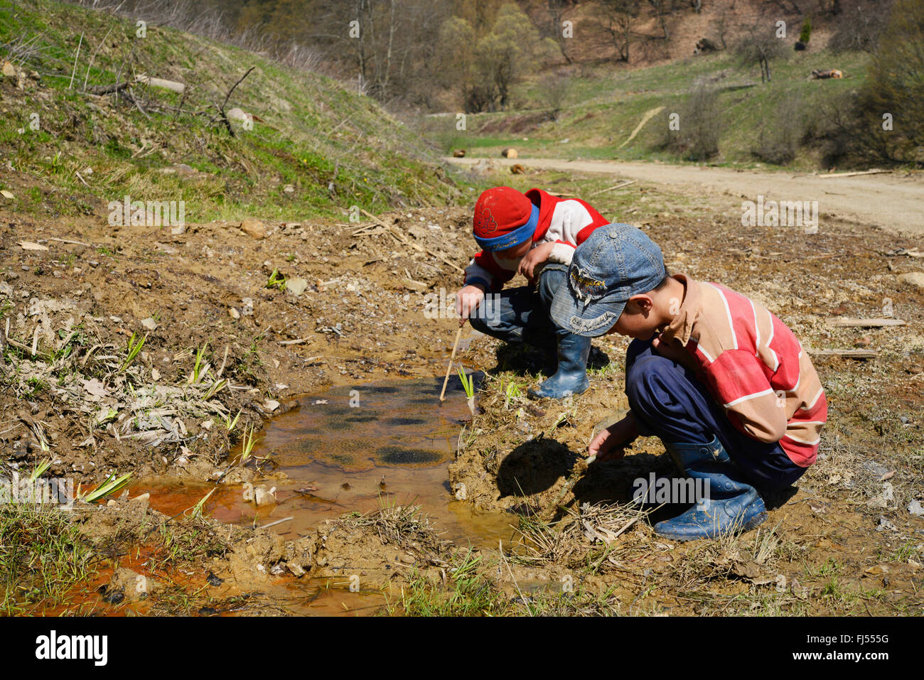 common frog, grass frog (Rana temporaria), two children play with spawn ...